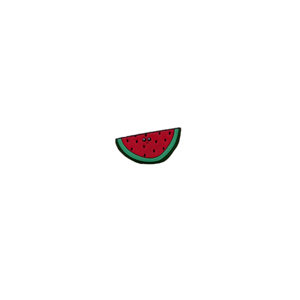 Watermelon Enamel Pin - Lucy Sparrow - Sew your Soul